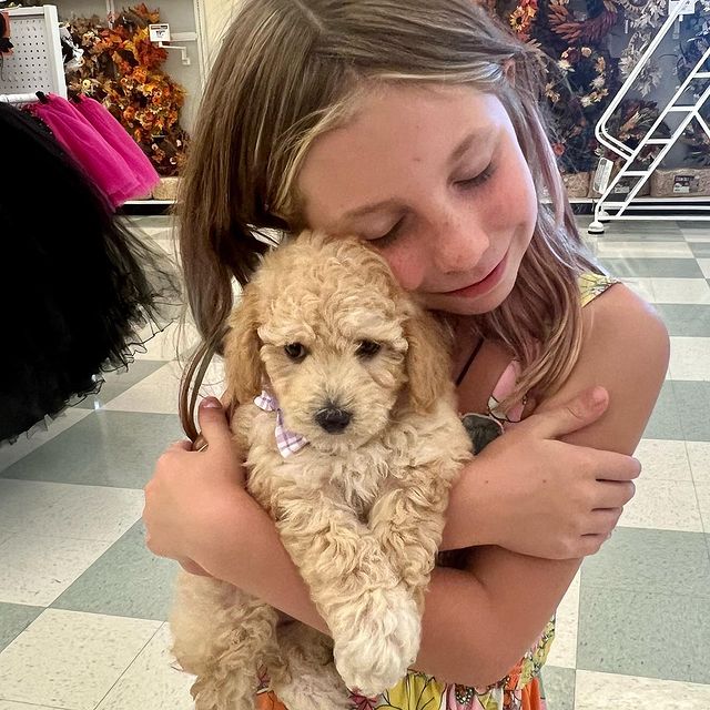 Ruby Express – The Doodle CO-OP