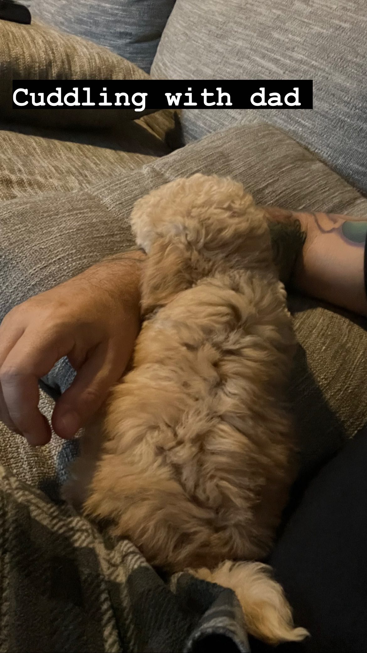 Ruby Express – The Doodle CO-OP