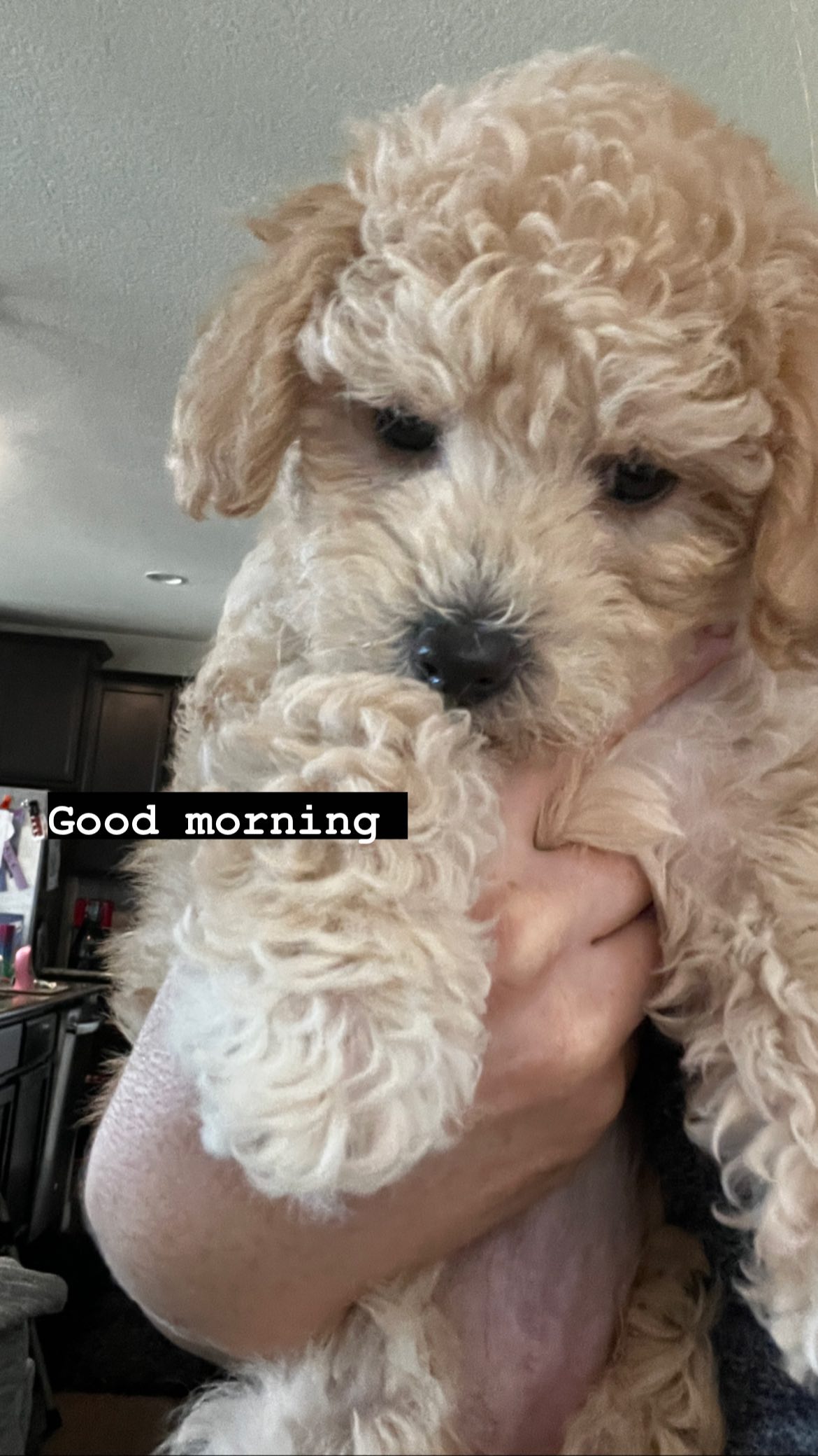 Ruby Express – The Doodle CO-OP