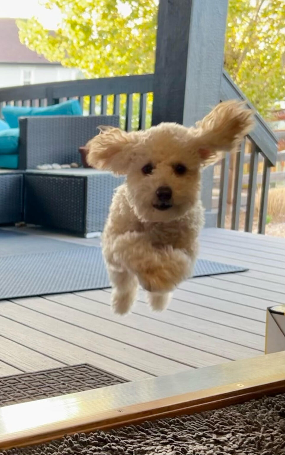 Ruby Express – The Doodle CO-OP