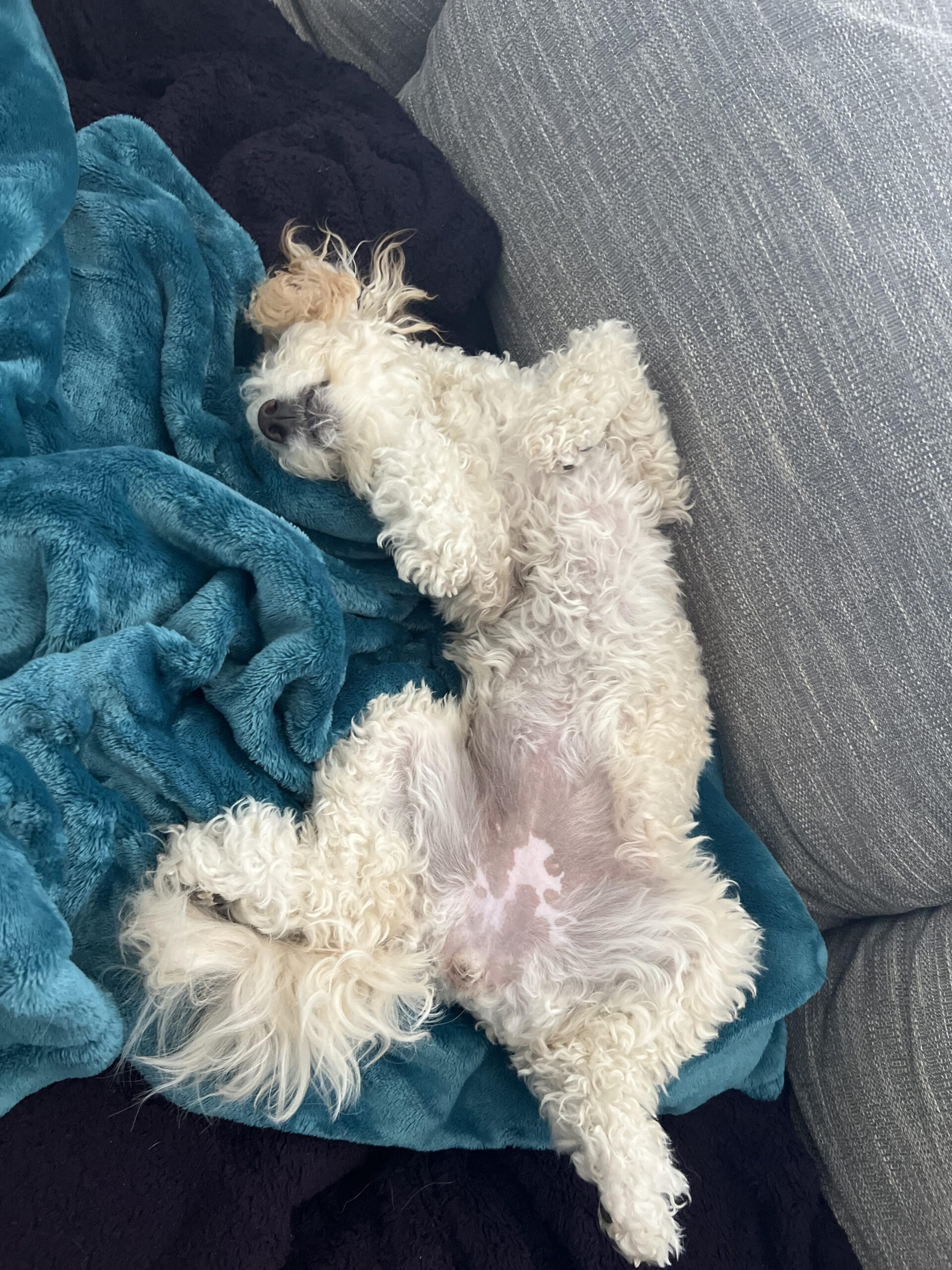 Ruby Express – The Doodle CO-OP